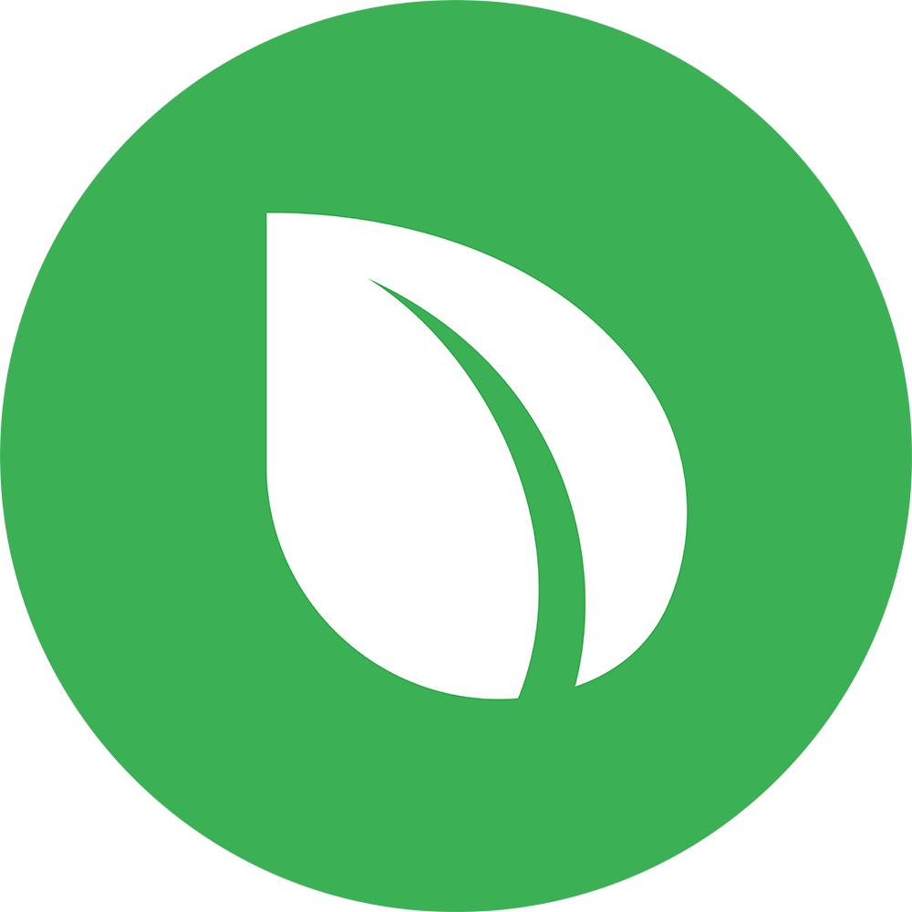 Guest Post By Peercoin Seven Years Of Peercoin An Interview With 